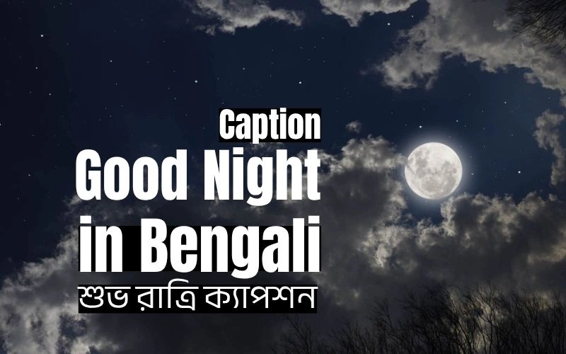 90+ Best শুভ রাত্রি ক্যাপশন - Good Night Caption Bangla